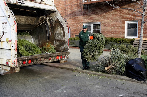 Dead Christmas Trees and Brain Injuries – karen m pyros